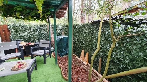 Kunsthaag op Rol Laurier Venice 1hx3b Meter Kopen | Tuindecoratie