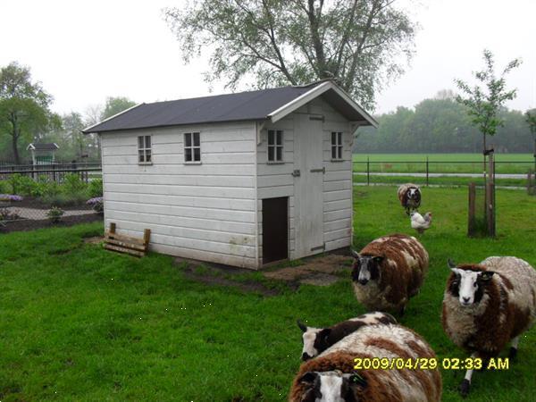 Schapenhok Schaapskooi Hooiberg Ook Maatwerk Kopen | Overige Dierverblijven