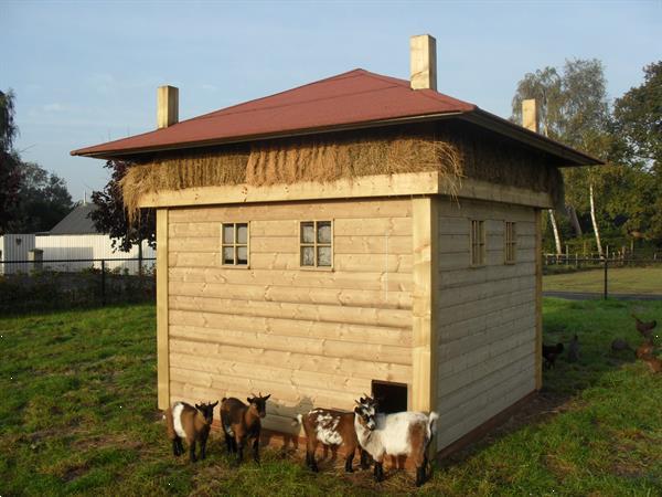 Schapenhok Hooiberg Geitenhok te Koop Ook Maatwerk Kopen | Veeverblijven