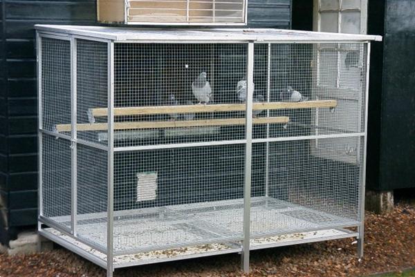 Duivenren, Spoetnik Kopen | Overige Dierverblijven