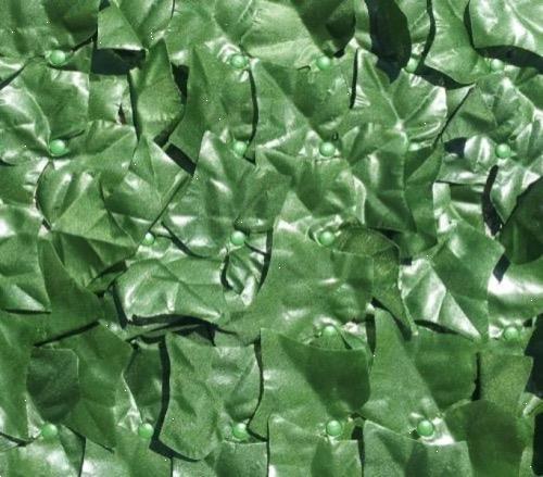 Kunsthaag Laurier Venice op Rol 1×3 Meter Kopen | Tuindecoratie