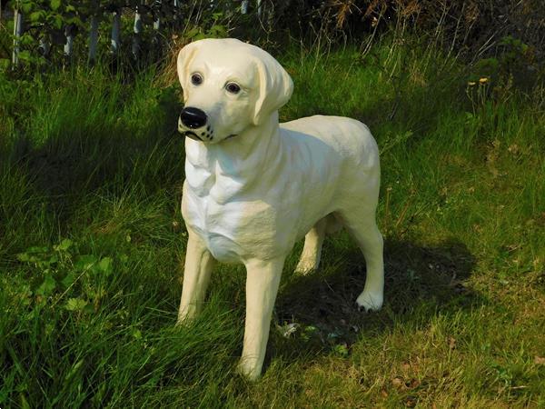 Tuinbeeld van een Grote Hond, ''Golden Retriever'' Kopen | Tuinbeelden ...