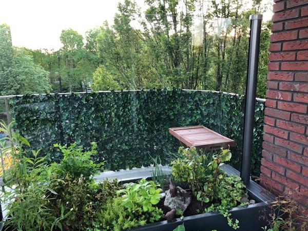 Kunsthaag op Rol Laurier Venice 1hx3b Meter Kopen | Tuindecoratie