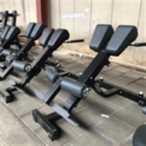 Technogym Lower Back Bench| Pure Strength | Back Extension | Kopen ...