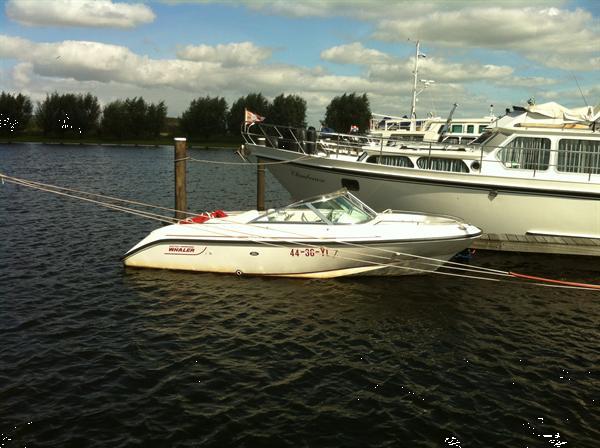 BOSTON WHALER RAGE 18, Jetaandrijving Kopen | Speedboten